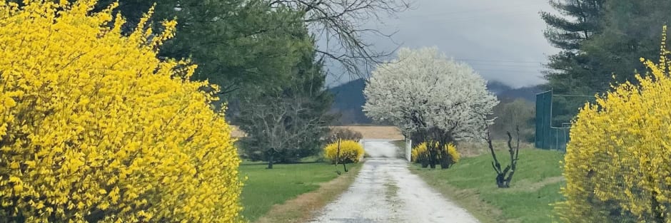 The Inn at Key Falls Estate - Stash Hotel Rewards